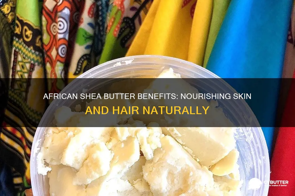 African Shea Butter Benefits: Nourishing Skin And Hair Naturally | CyButter