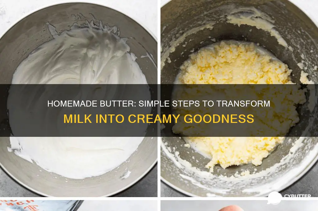 Homemade Butter: Simple Steps To Transform Milk Into Creamy Goodness ...
