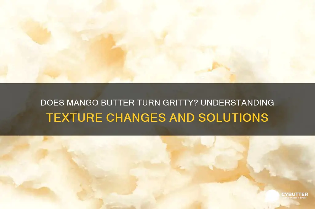 Does Mango Butter Turn Gritty? Understanding Texture Changes And ...